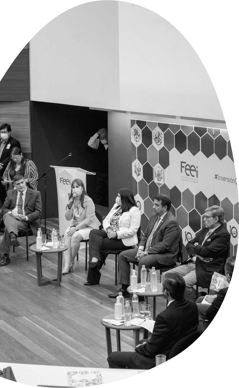 Pagina1 – FEEI